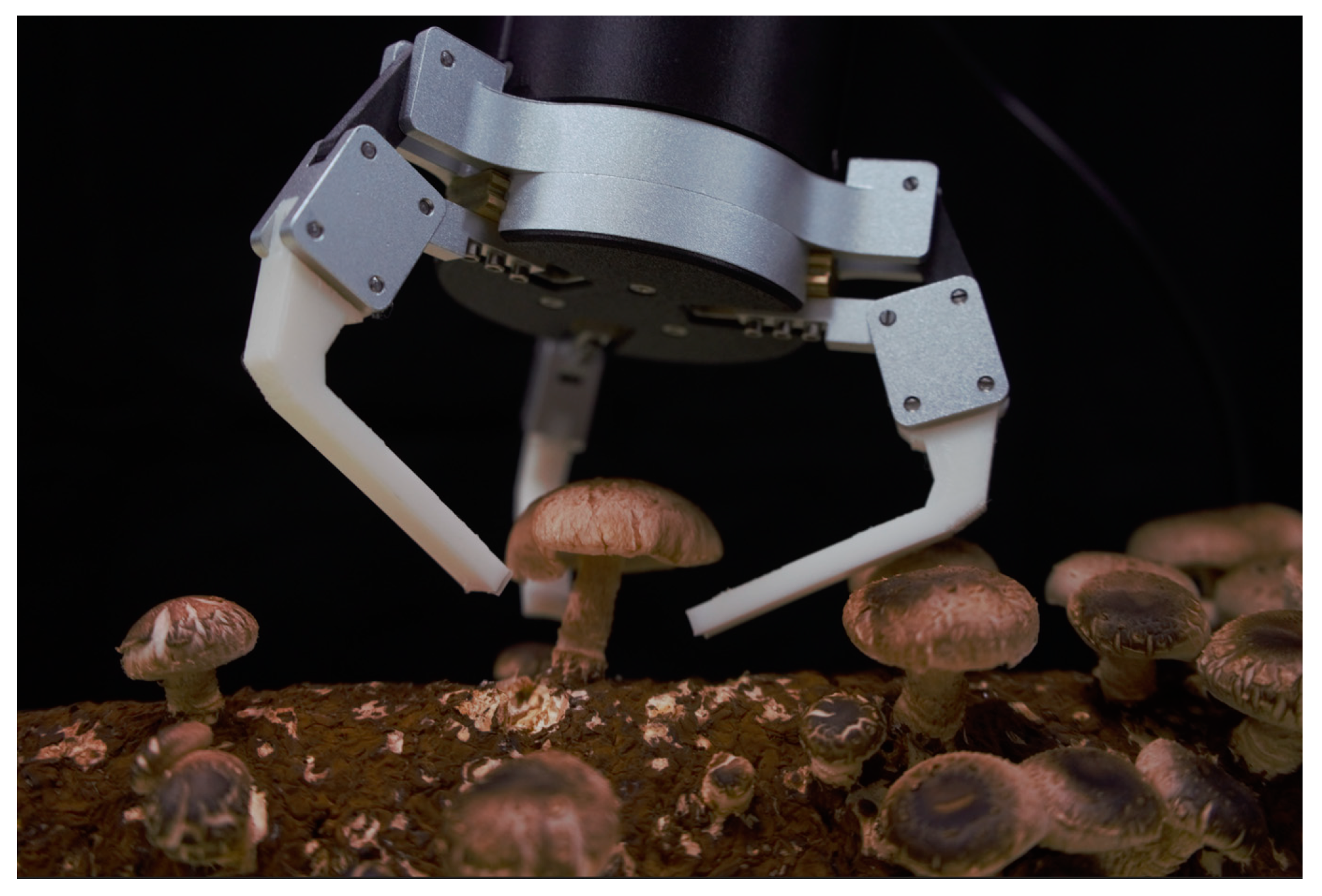 Design of Shiitake Mushroom Robotic Picking Grasper: Considering Stipe ...