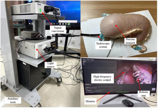 Flexible Continuum Robot System for Minimally Invasive Endoluminal ...