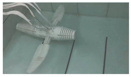 Research and Implementation of Pneumatic Amphibious Soft Bionic Robot