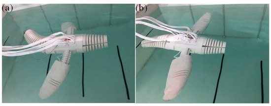 Research and Implementation of Pneumatic Amphibious Soft Bionic Robot