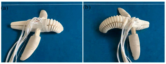 Research and Implementation of Pneumatic Amphibious Soft Bionic Robot