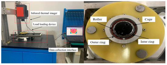 Bearing Health State Detection Based on Informer and CNN + Swin Transformer