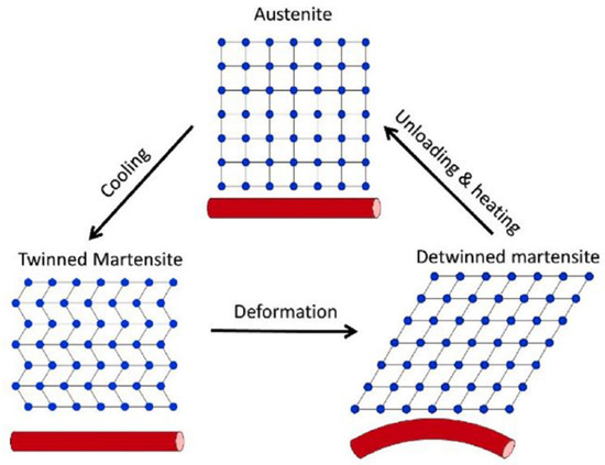 Shape Memory Alloys for Self-Centering Seismic Applications: A Review on Recent Advancements