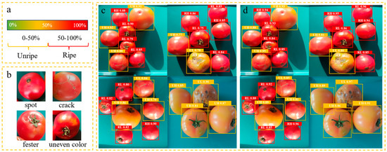 A Tomato Recognition and Rapid Sorting System Based on Improved YOLOv10