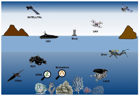 From Remote Sensing to Artificial Intelligence in Coral Reef Monitoring