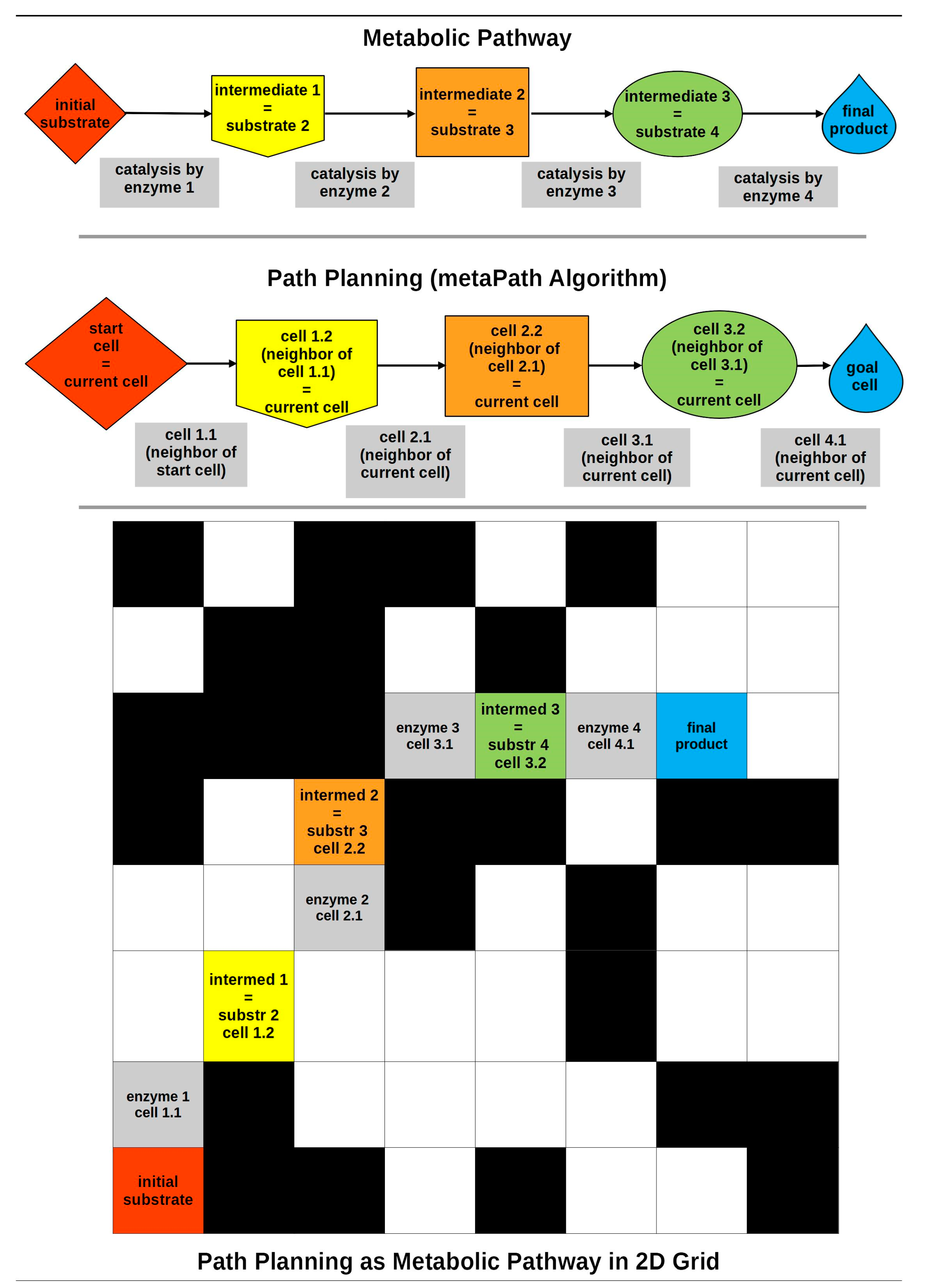 A Biochemistry-Inspired Algorithm for Path Planning in Unmanned Ground Vehicles