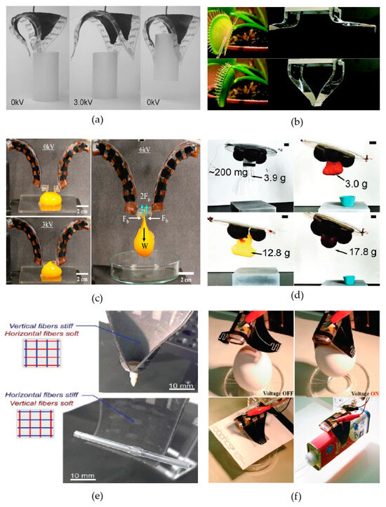 A Review of the Applications and Challenges of Dielectric Elastomer ...