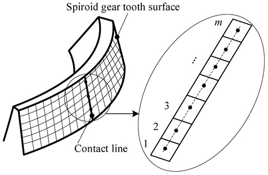 Study on the Wear Performance of Spiroid Worm Drive with Steel–Steel ...