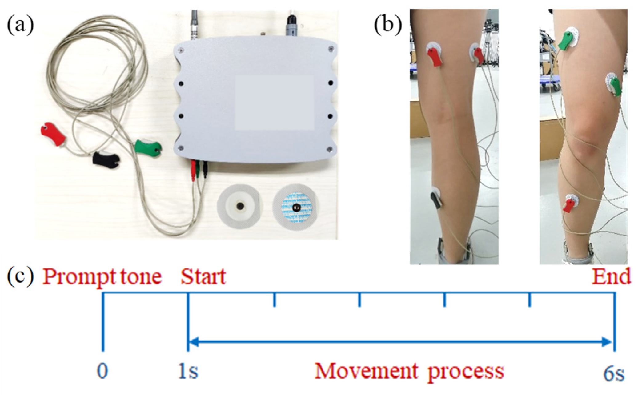 Lower Limb Motion Recognition Based on Surface Electromyography Decoding Using S-Transform ...