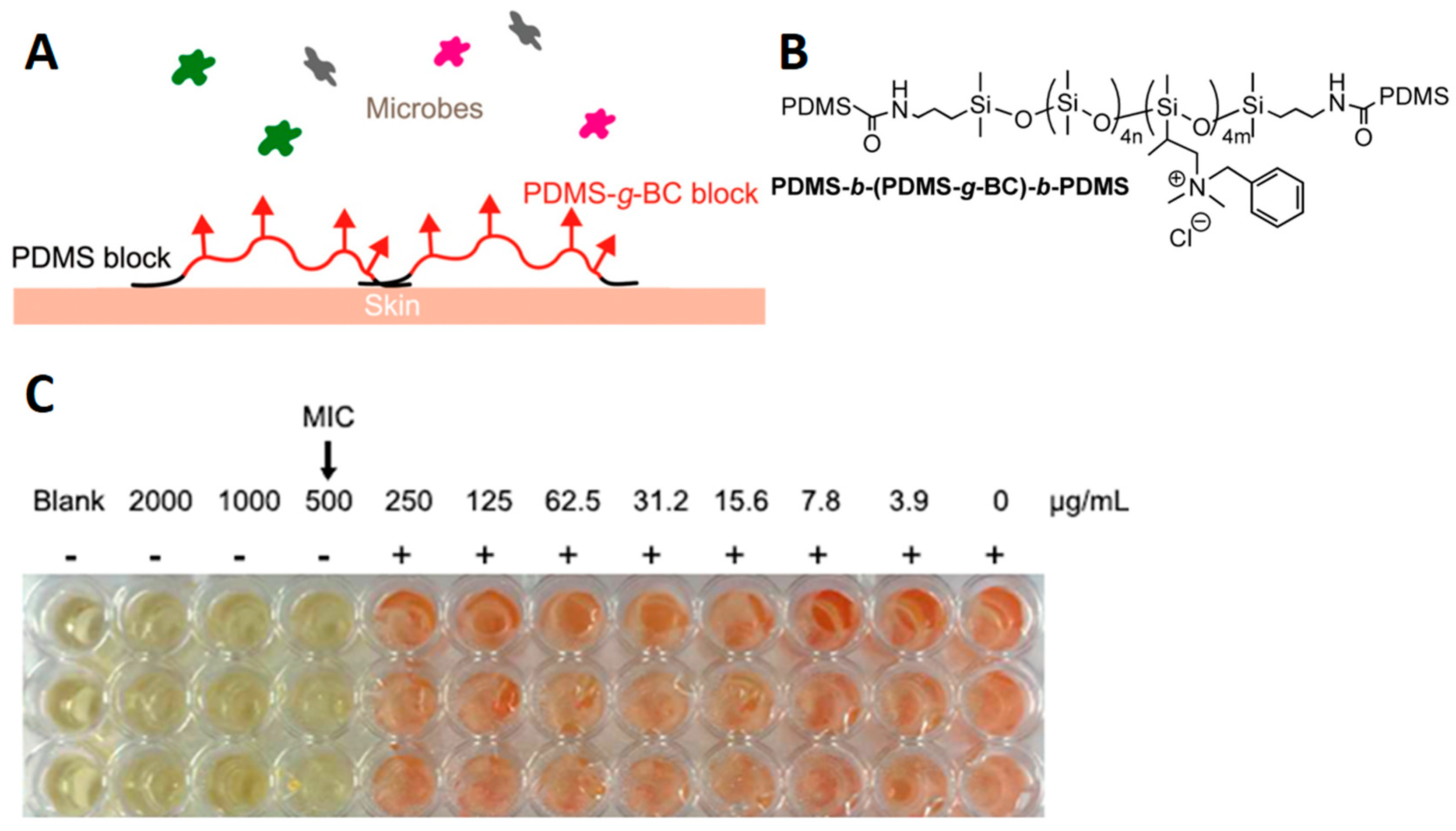 Neat Linear Polysiloxane-Based Ionic Polymers: Insights into Structure ...