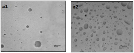 Macromol | An Open Access Journal from MDPI