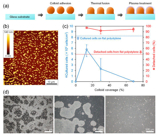 Easy Cell Detachment and Spheroid Formation of Induced Pluripotent Stem ...