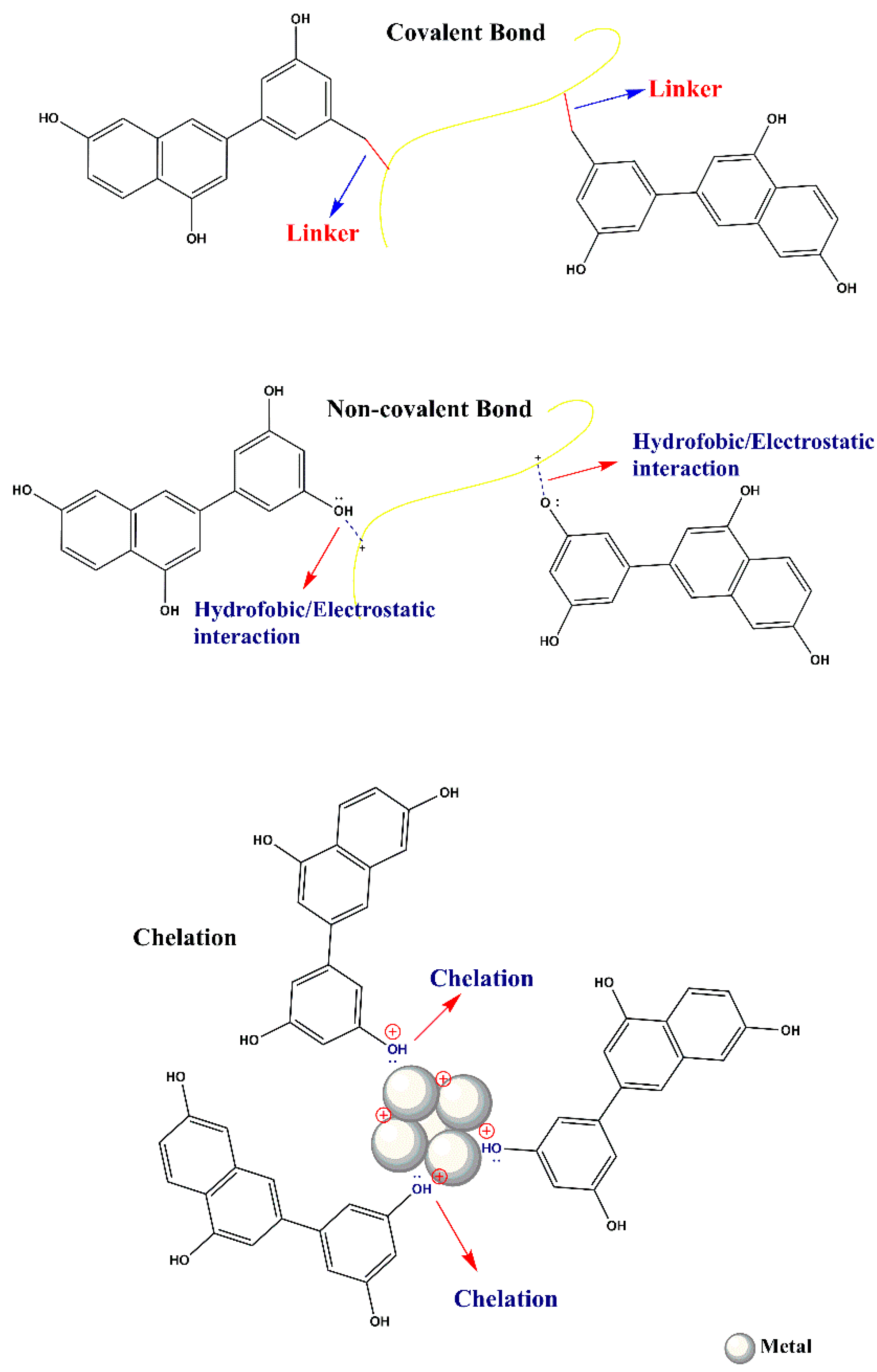 Polyphenol-Loaded Polymeric Matrixes as Potential Biopharmaceuticals ...