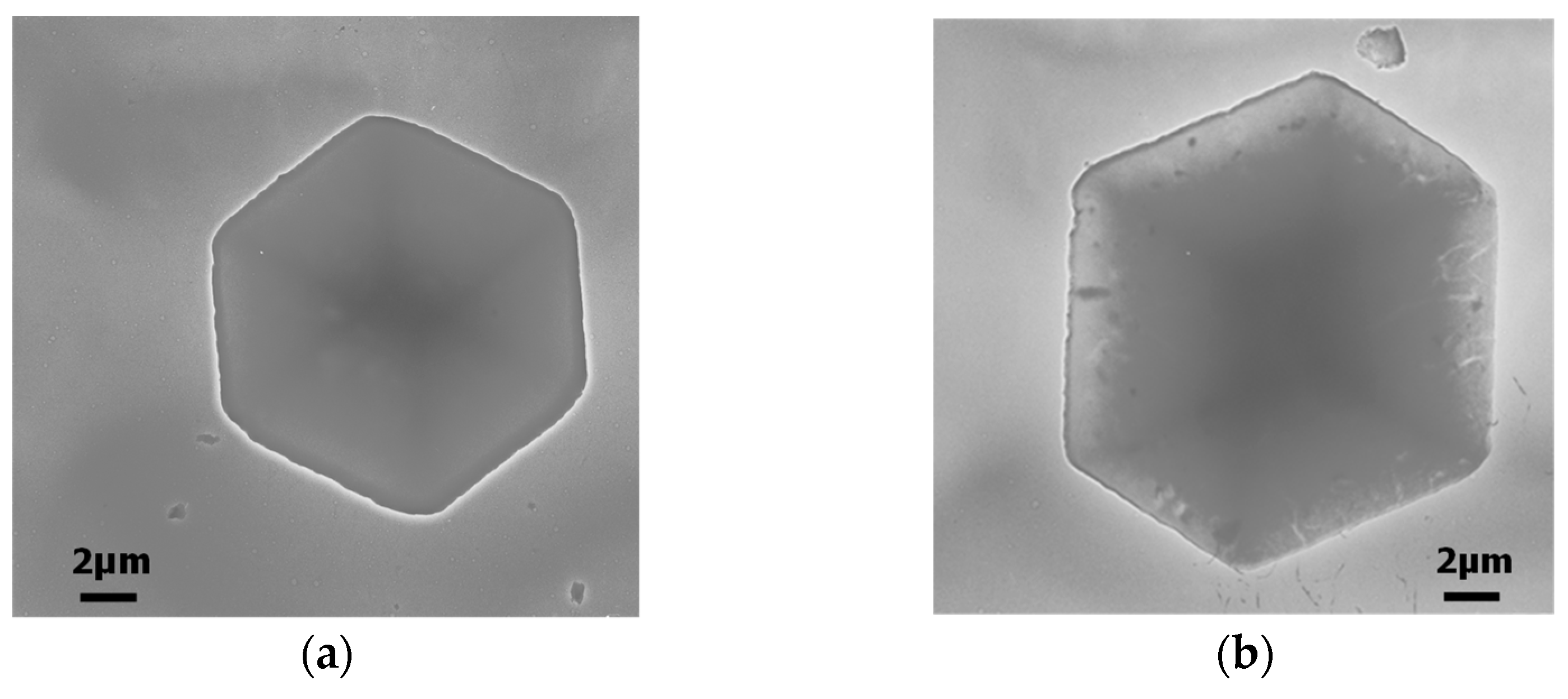 Simple One–Pot Synthesis of Hexakis(2-alkoxy-1,5-phenyleneimine ...