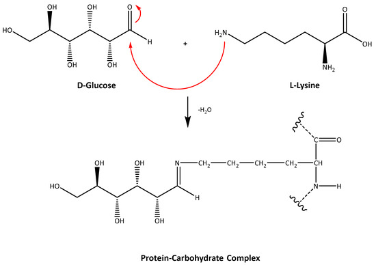 Plant-Based Proteins and Their Modification and Processing for Vegan ...