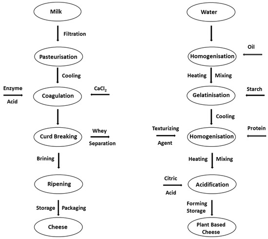Plant-Based Proteins and Their Modification and Processing for Vegan ...