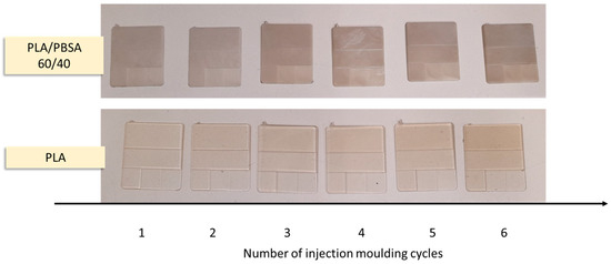 Recyclability Perspectives of the Most Diffused Biobased and ...