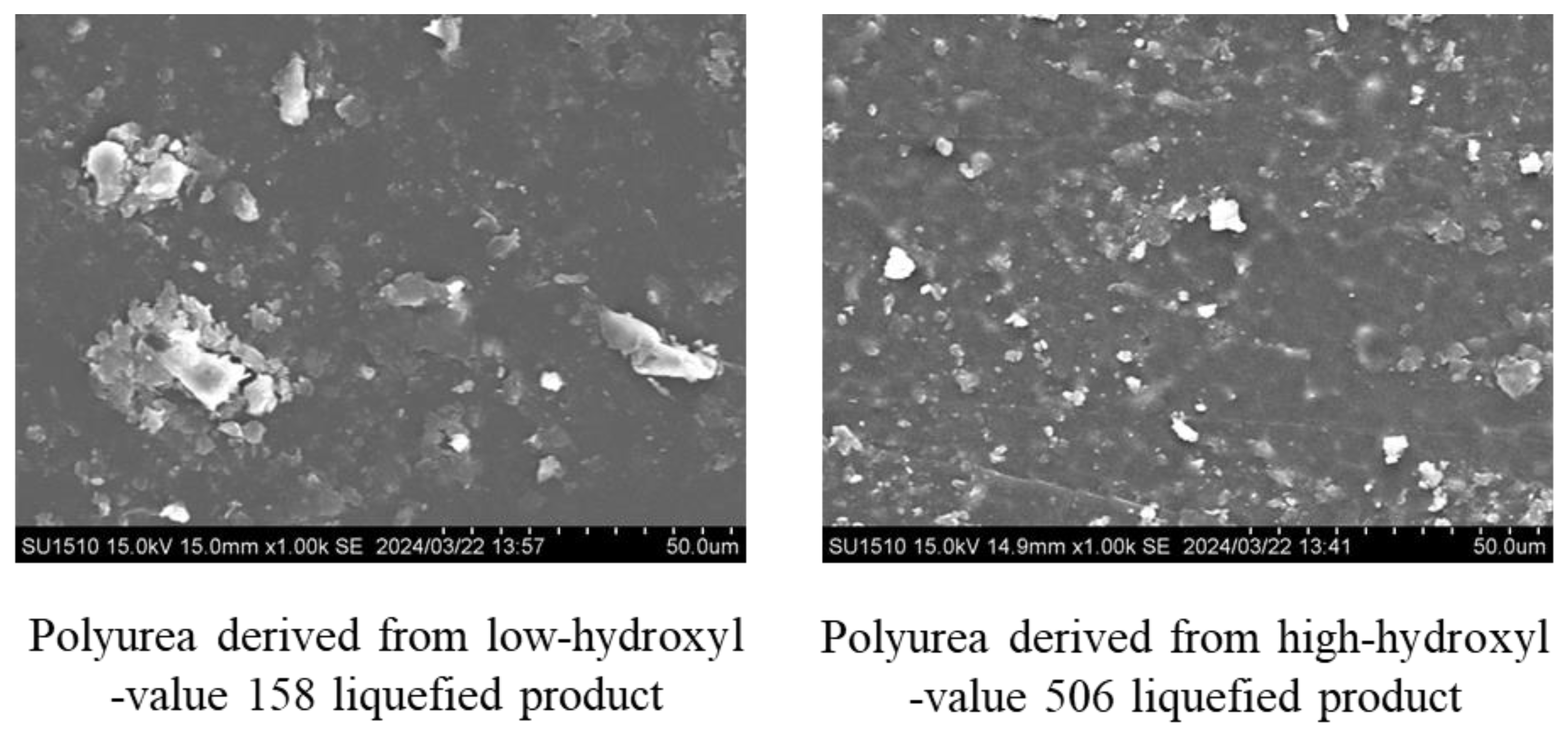 Synthesis and Characterization of Bio-Based Polyurea Derived from ...