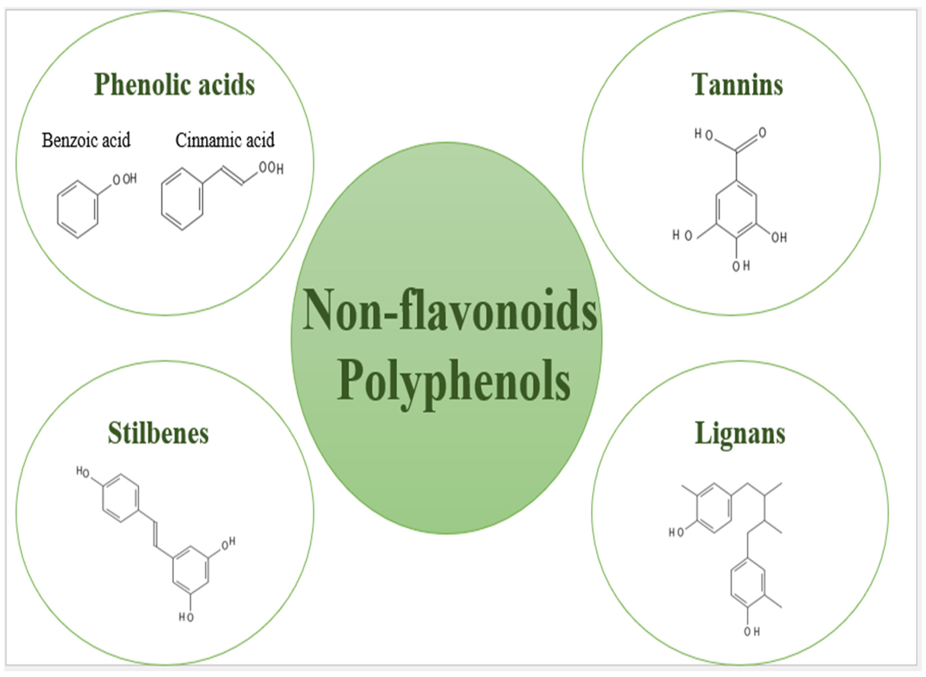Use of Encapsulated Polyphenolic Compounds in Health Promotion and ...