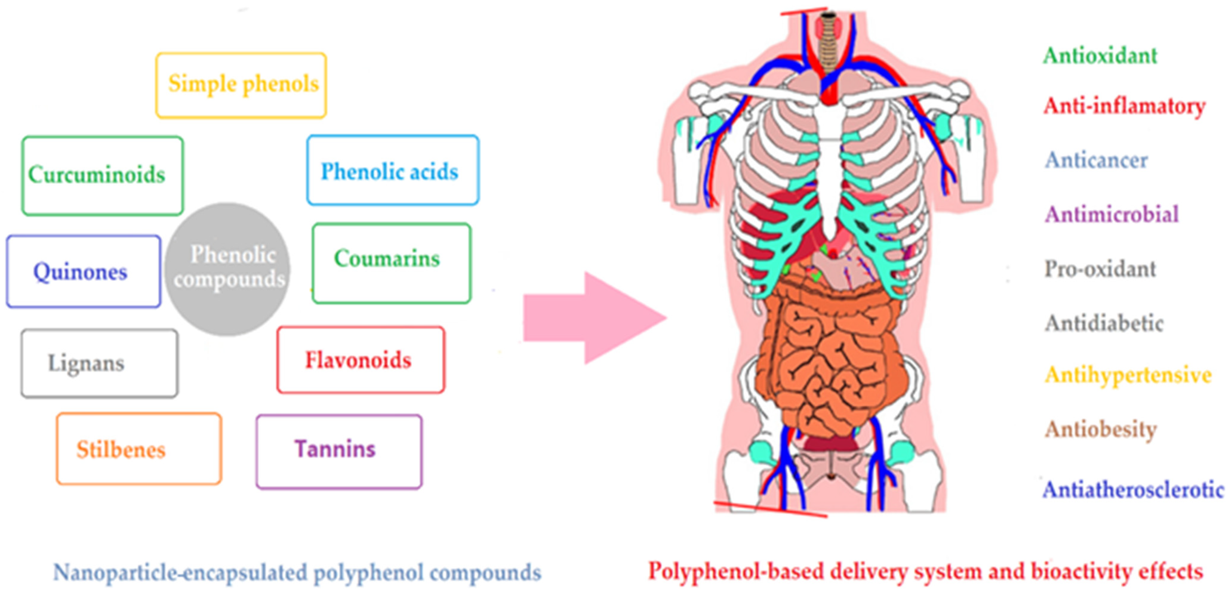 Use of Encapsulated Polyphenolic Compounds in Health Promotion and ...