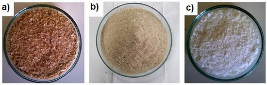 Polyvinyl Alcohol Films Reinforced with Nanocellulose from Rice Husk