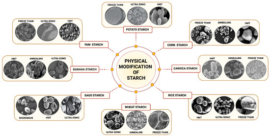 Starch Science Advancement: Isolation Techniques, Modification ...
