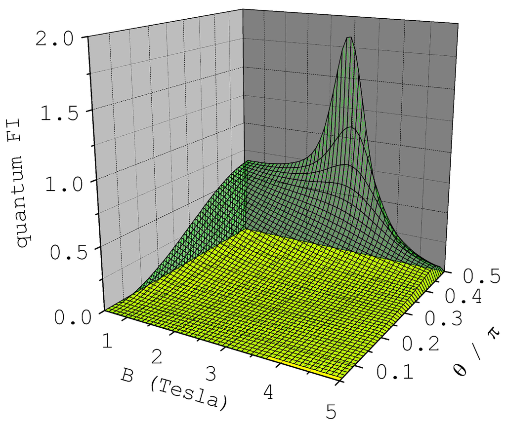 On the Use of Classical and Quantum Fisher Information in Molecular ...