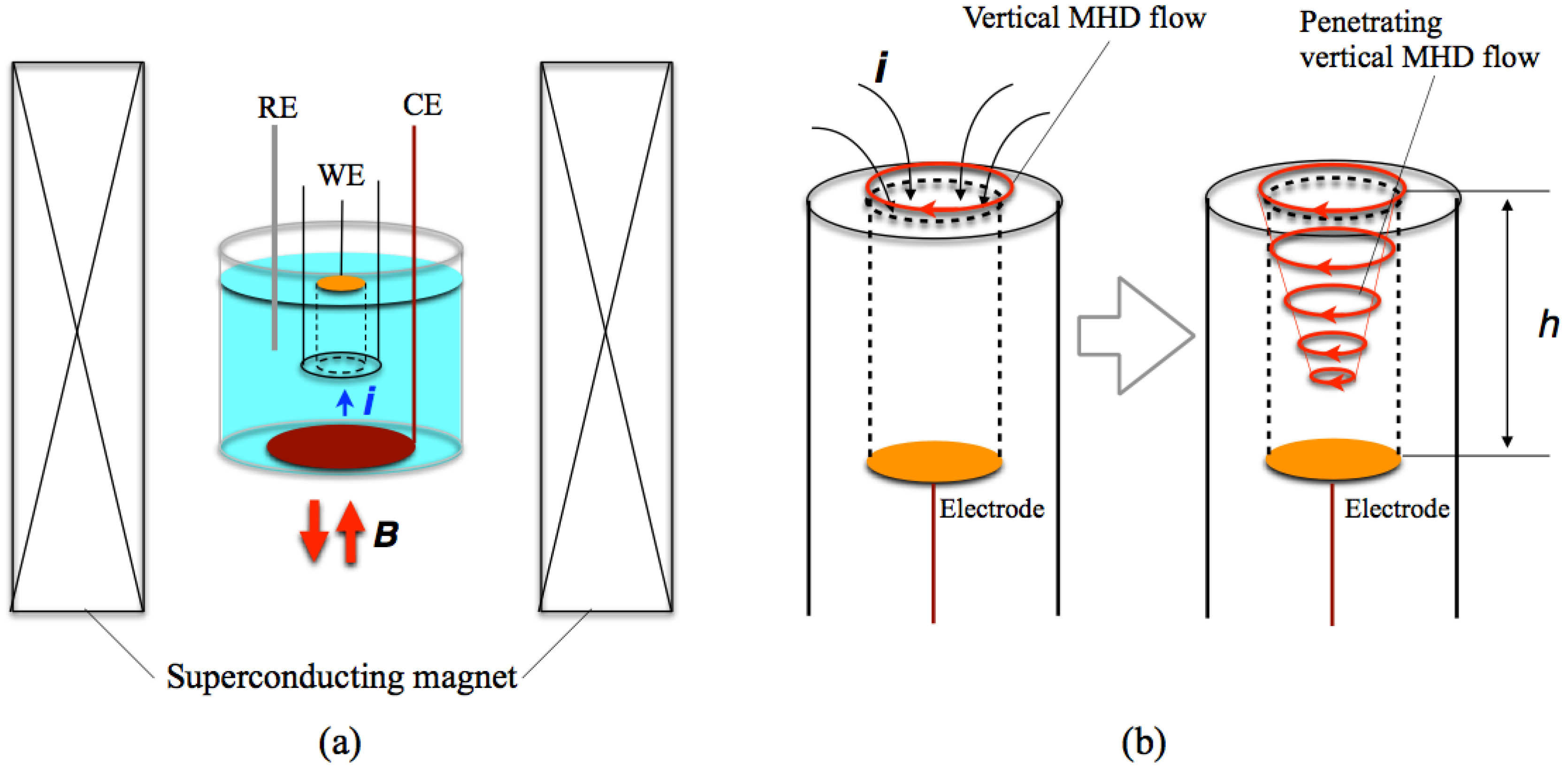 Effects of Vertical Magnetohydrodynamic Flows on Chiral Surface ... Effects of Vertical Magnetohydrodynamic Flows on Chiral Surface ...