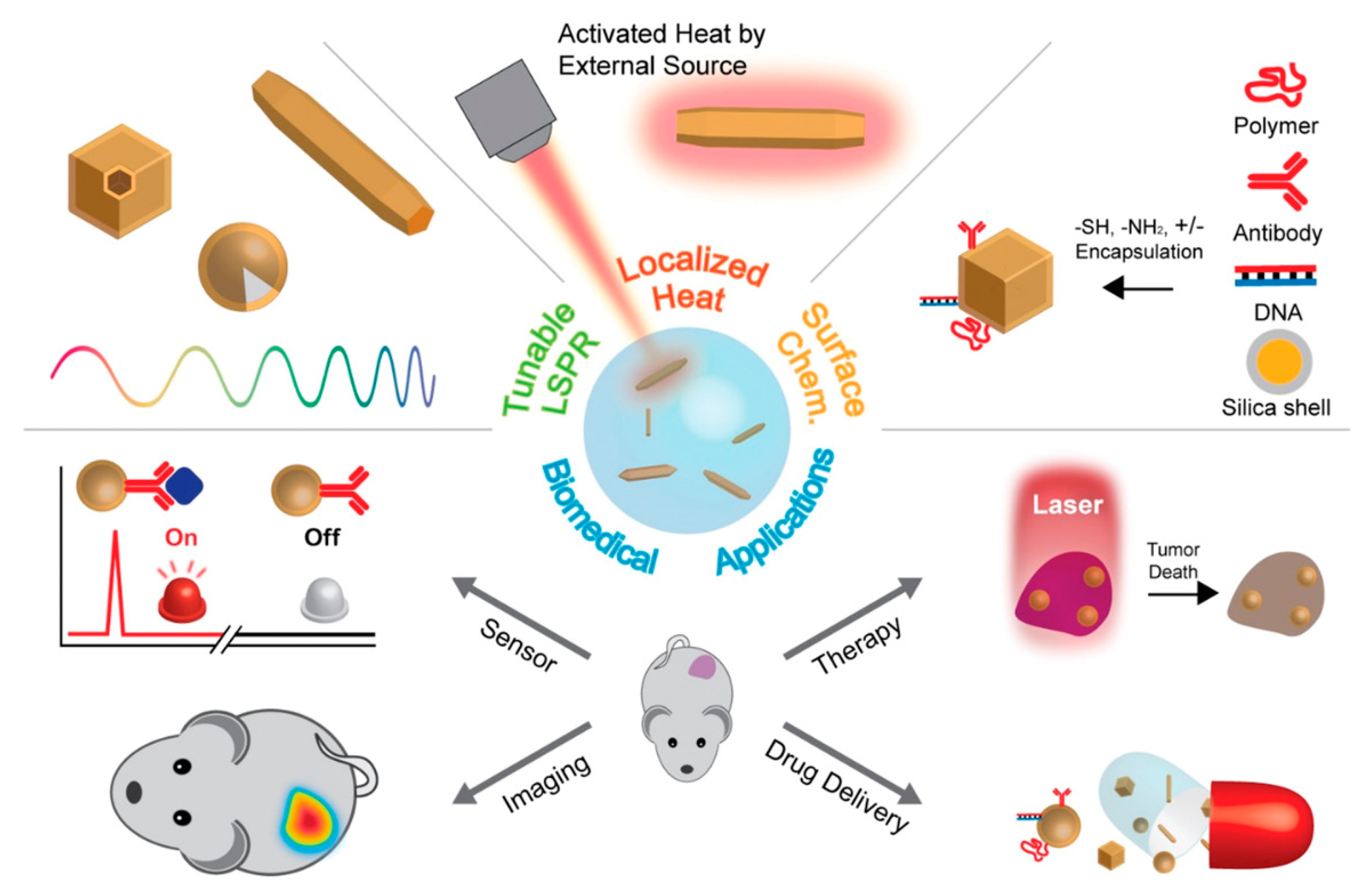 Magnetic Nanoparticles