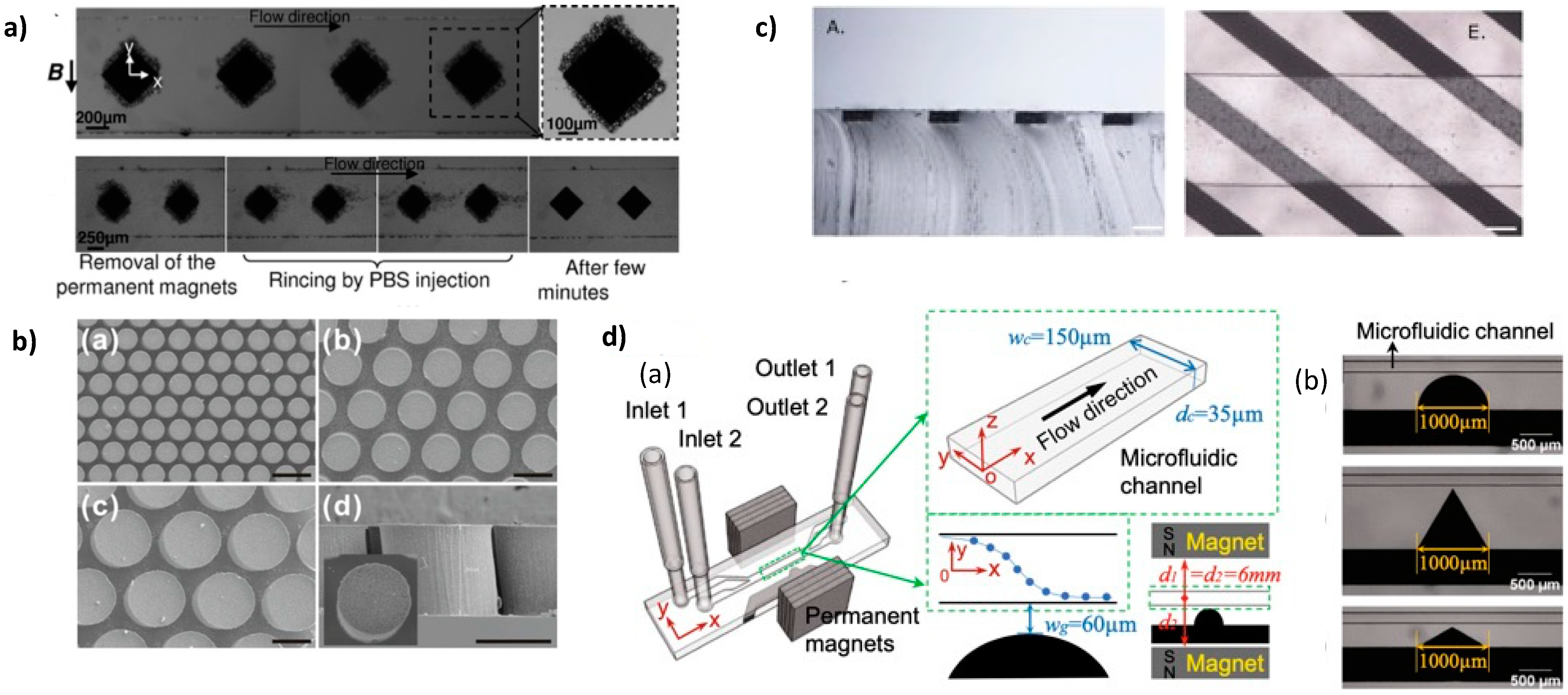 Magnetic Polymers for Magnetophoretic Separation in Microfluidic Devices