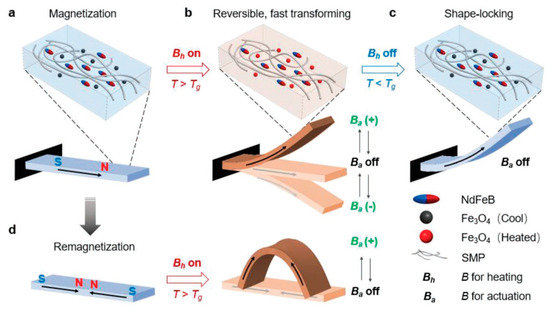 Review of Magnetic Shape Memory Polymers and Magnetic Soft Materials
