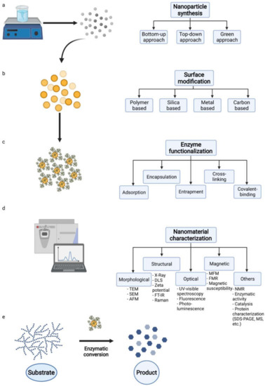 Magnetic Nanomaterials as Biocatalyst Carriers for Biomass Processing ...