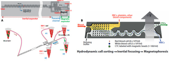 Basic Principles and Recent Advances in Magnetic Cell Separation