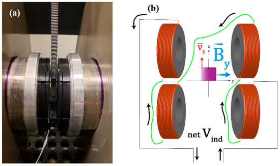 A High Sensitivity Custom-Built Vibrating Sample Magnetometer