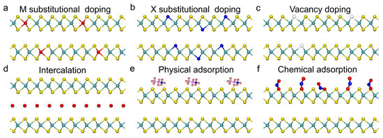 Two-Dimensional Doped Materials