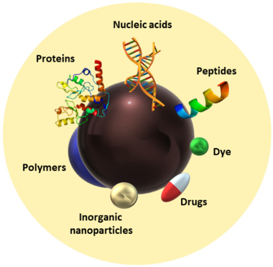 Magnetic Nanocomposites and Imprinted Polymers for Biomedical ...