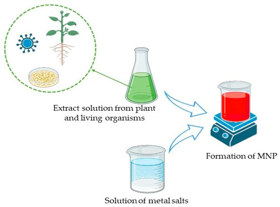 Recent Approaches in Magnetic Nanoparticle-Based Biosensors of miRNA ...