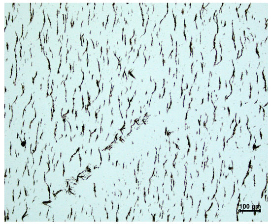 From Micro to Nano: Grinding Natural Magnetite Ore for Microalgae ...