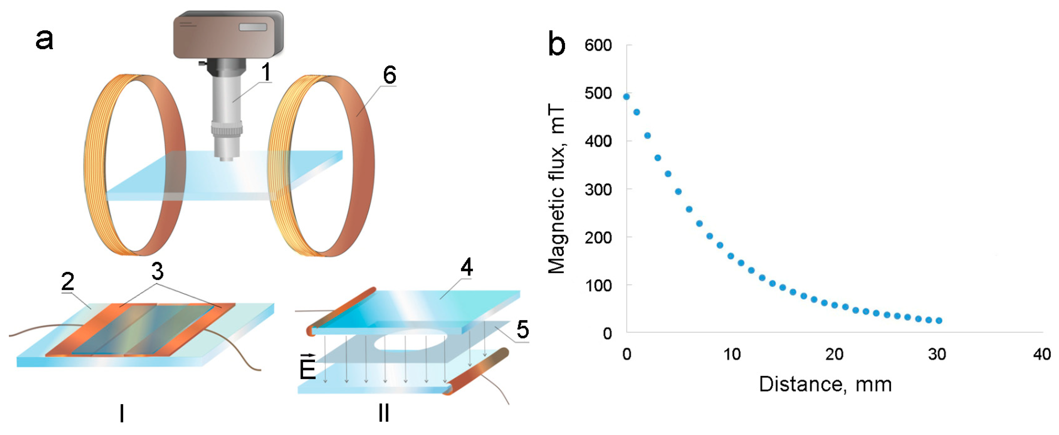 Magnetochemistry | Free Full-Text | The Influence of Magnetic Fields on Electrophoretic ...