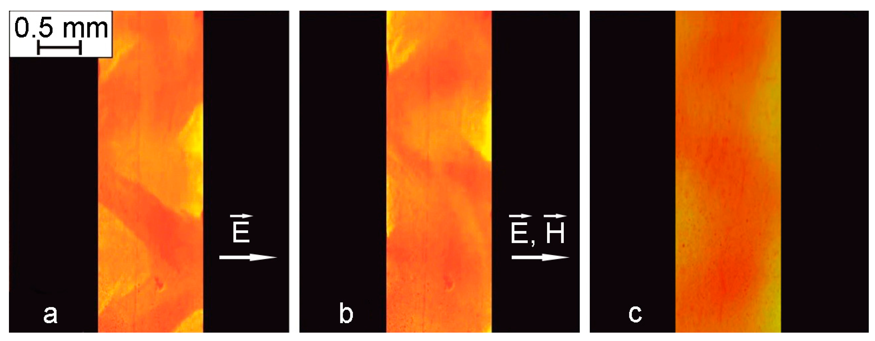 The Influence of Magnetic Fields on Electrophoretic Processes in ...