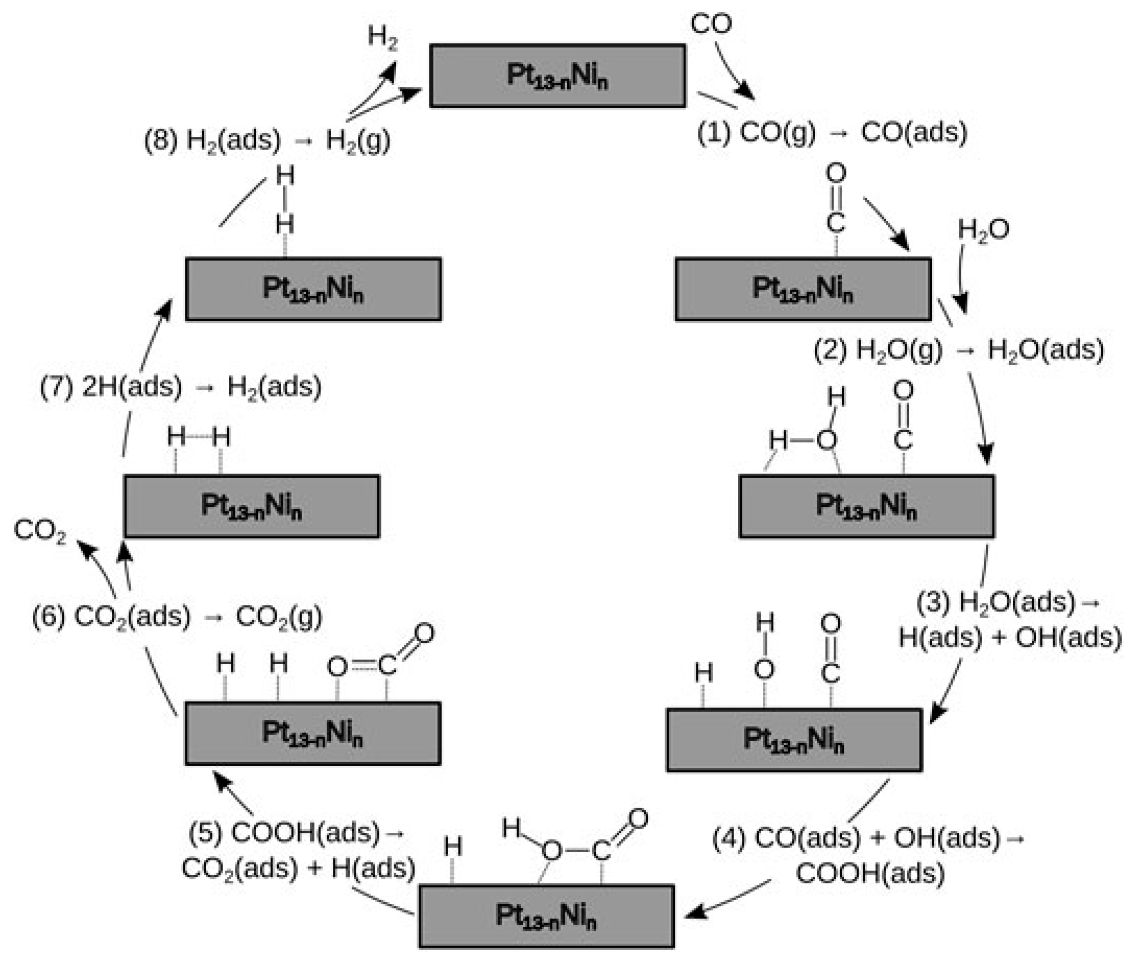 The Catalytic Activity of Magnetic Surfaces