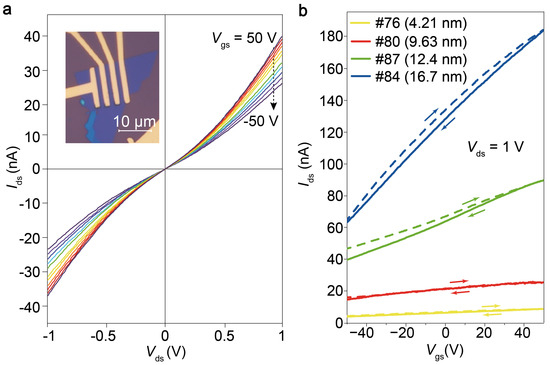 Magnetochemistry | Free Full-Text | Bipolar Nb3Cl8 Field Effect Transistors