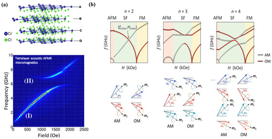 Magnon Excitation Modes in Ferromagnetic and Antiferromagnetic Systems