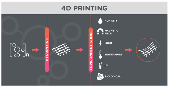 Magnetic Substrates for Tissue Engineering—A Review