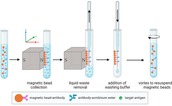 Optimizing Magnetic Separation and Cleaning Module in Fully Automated ...