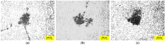 A Novel Magnetic Flux Leakage Method Incorporating TMR Sensors for ...