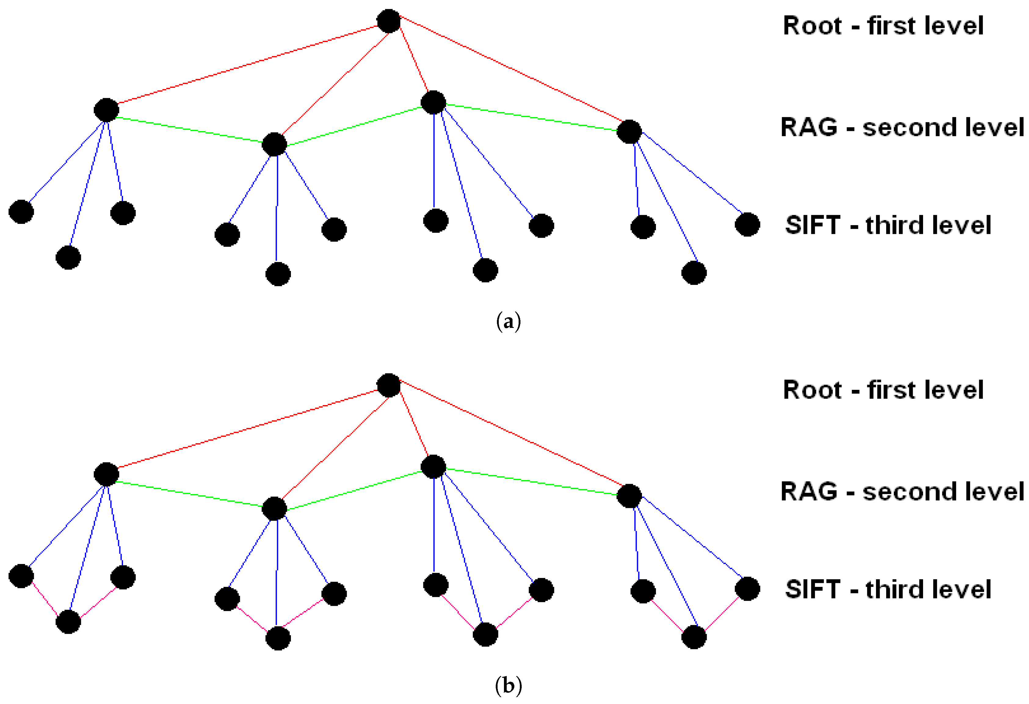 Attributed Relational SIFT-Based Regions Graph: Concepts and Applications