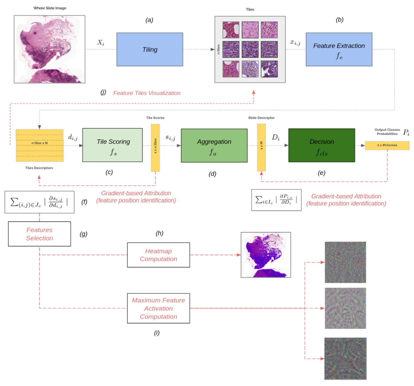 Automatic Feature Selection For Improved Interpretability On Whole 