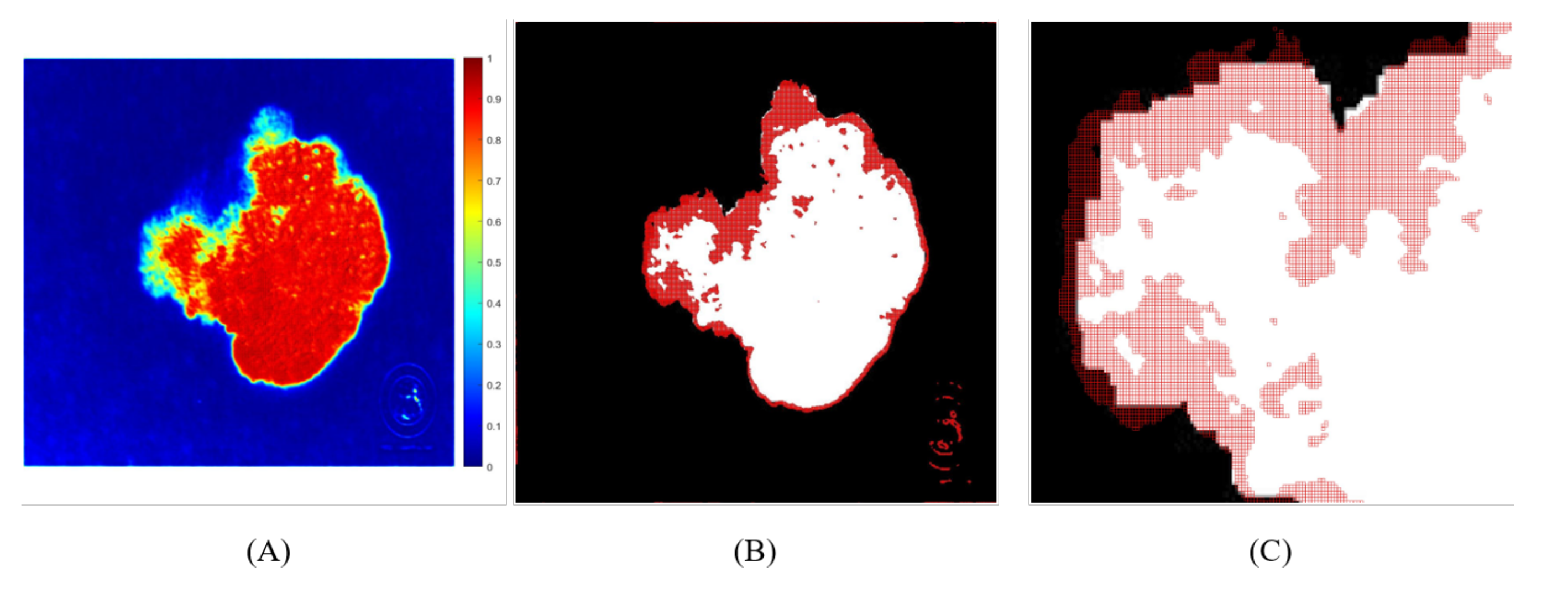 Semantic Image Segmentation Using Scant Pixel Annotations