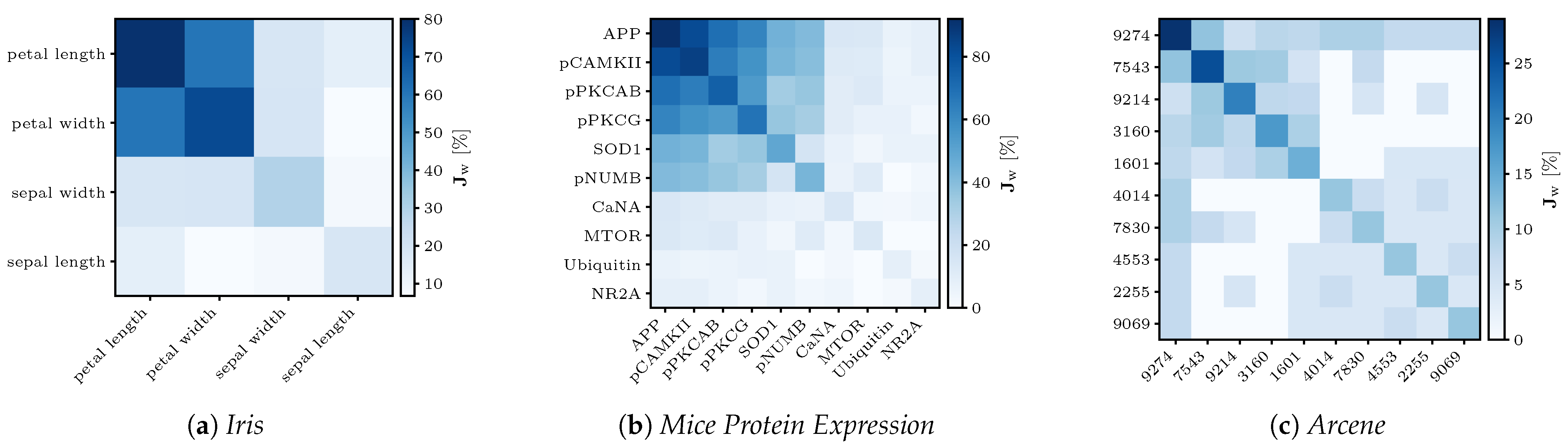 FeaSel-Net: A Recursive Feature Selection Callback in Neural Networks
